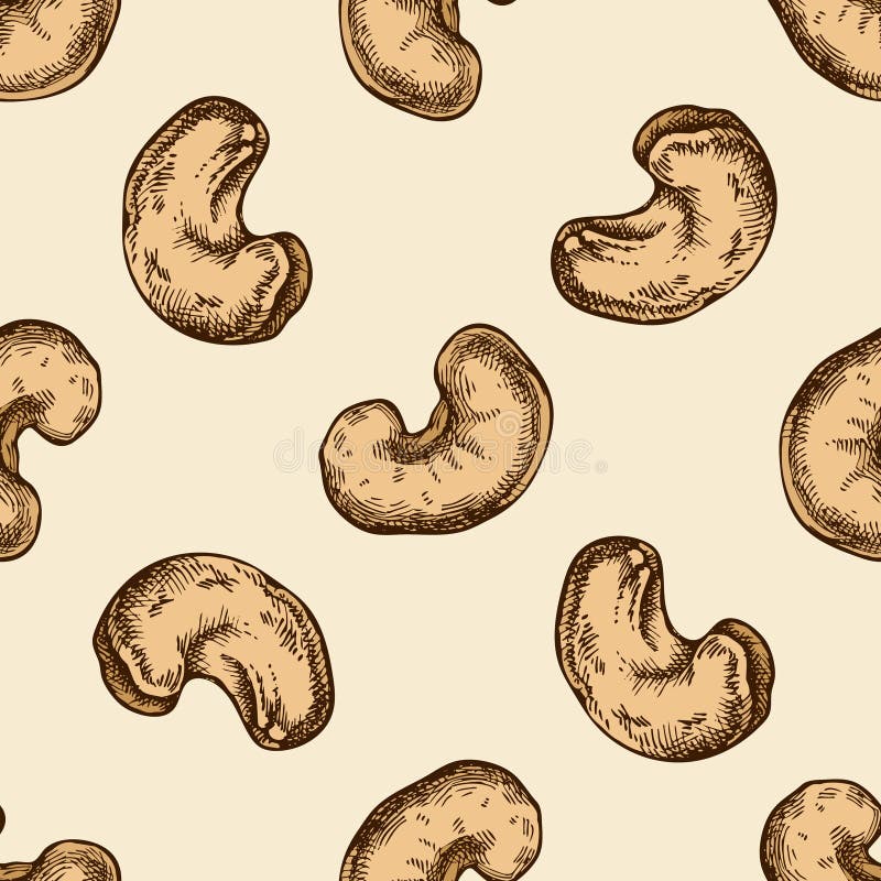Seamless Pattern with Hand Drawn Colored Cashew Stock Vector ...