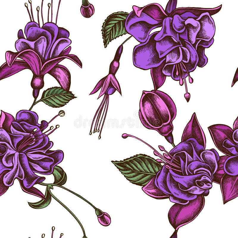 Seamless Pattern with Hand Drawn Colored Fuchsia Stock Vector ...