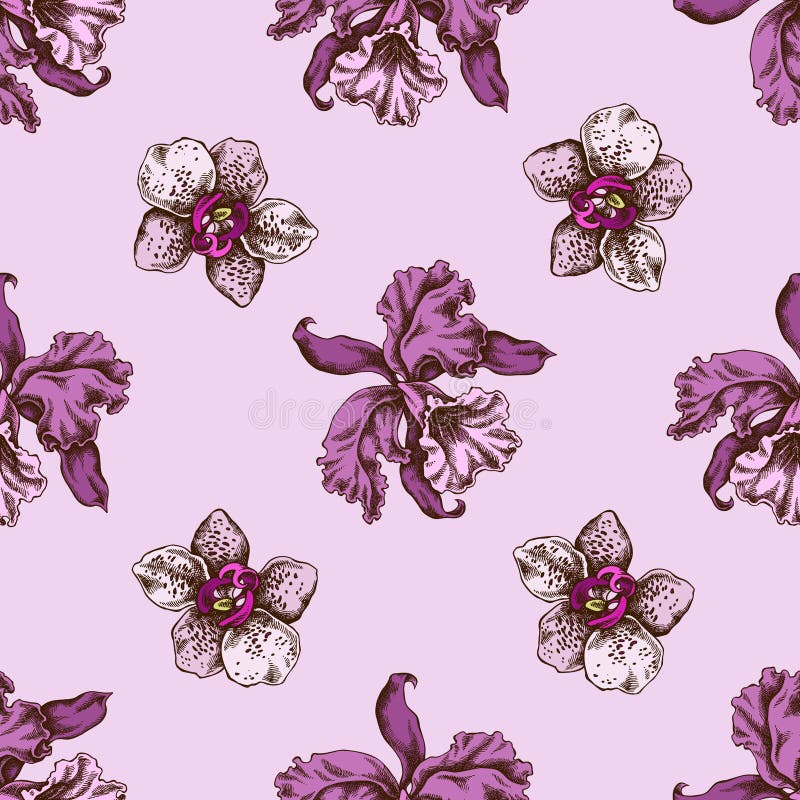 Seamless Pattern with Hand Drawn Colored Orchid Stock Vector ...