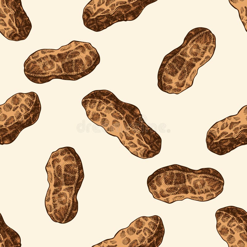 Seamless Pattern with Hand Drawn Colored Peanut Stock Vector ...