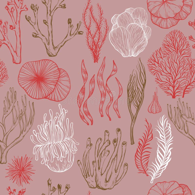 Seamless Pattern with Hand Drawn Corals, Sea Sponges, Living Organisms ...