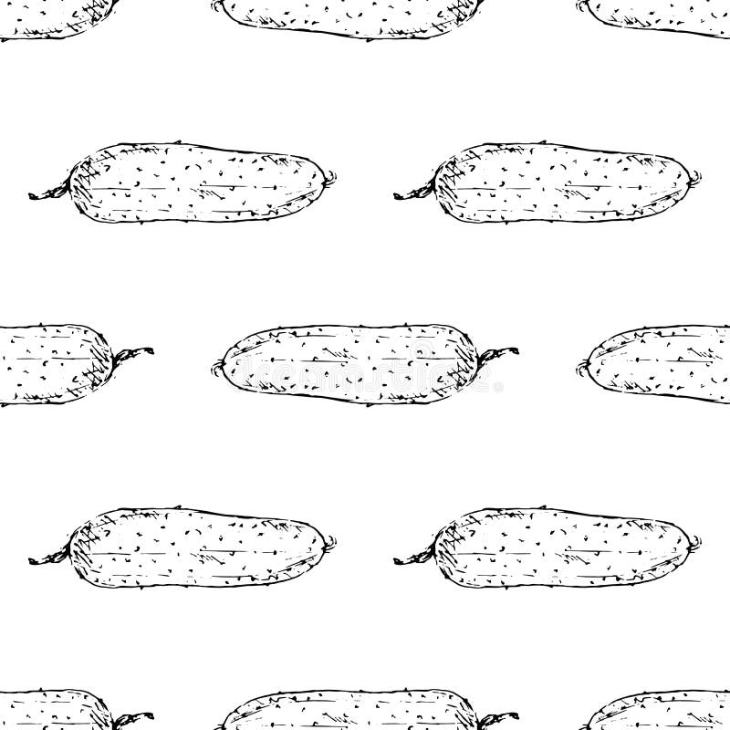 Cucumber in Doodle Style in Black Color Stock Vector - Illustration of ...