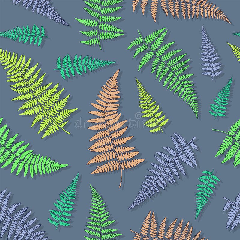 Seamless Pattern with Hand Drawn Fern Leaves Stock Vector ...