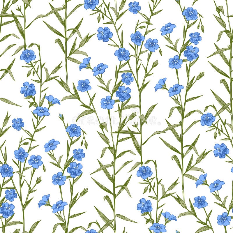 Blue Flax Flower. Floral Botanical Flower. Seamless Background Pattern ...