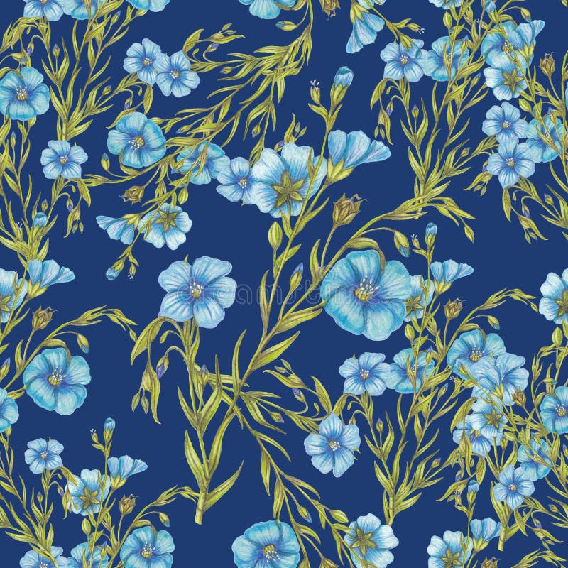 Seamless Pattern of Hand Drawn Flax Stock Illustration - Illustration ...