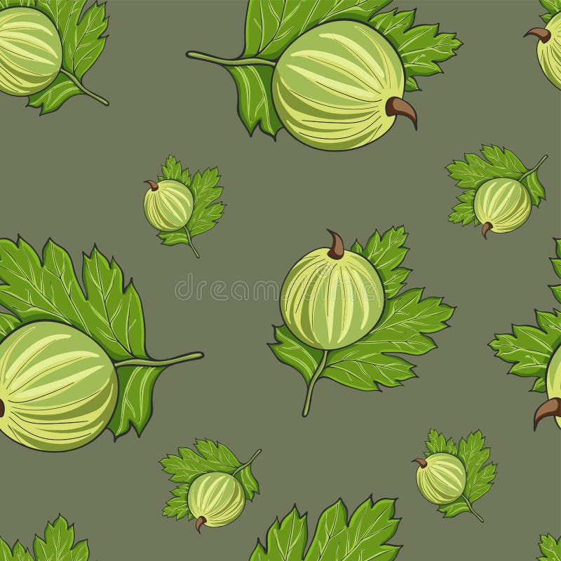 Seamless Pattern Hand Drawn Gooseberry Stock Vector - Illustration of ...
