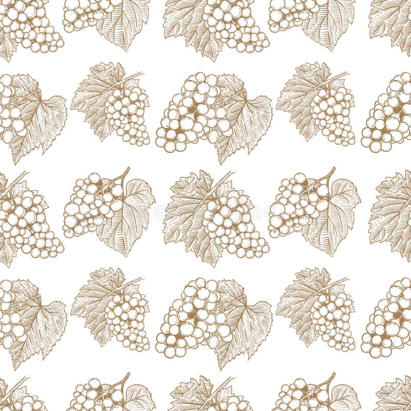 Seamless Pattern with Hand Drawn Grape. Design Element for Poster, Card ...
