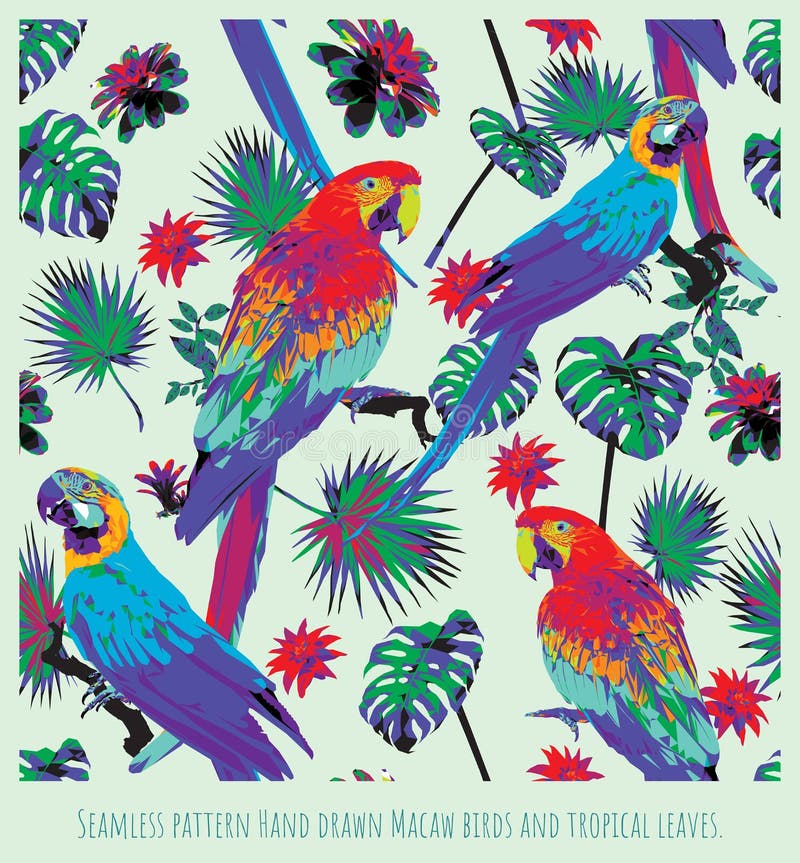 Seamless Pattern Hand Drawn Macaw Birds and Tropical Leaves Stock ...