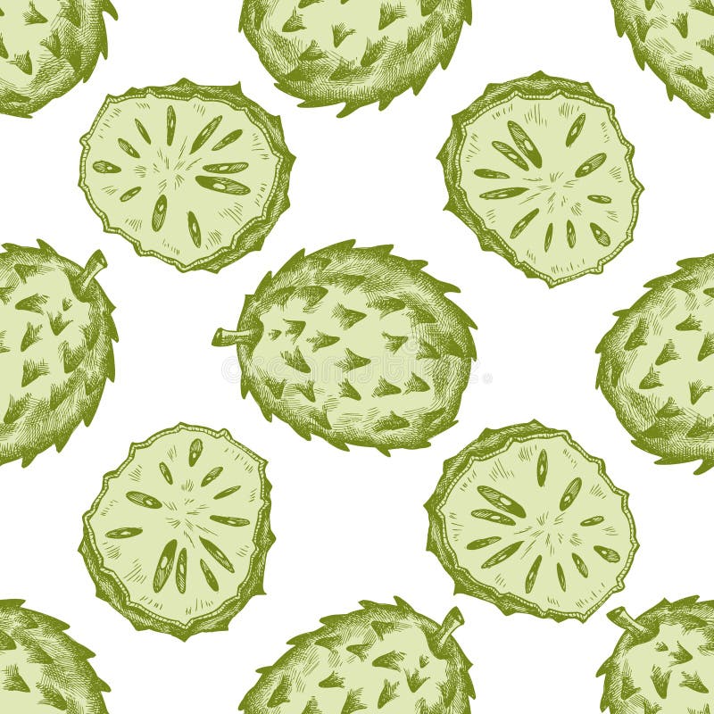 Seamless Pattern with Hand Drawn Pastel Soursop Stock Vector ...