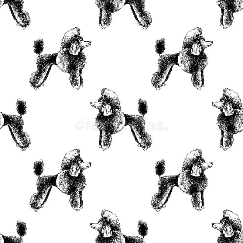 Seamless Pattern with Hand Drawn Poodles Stock Vector - Illustration of ...