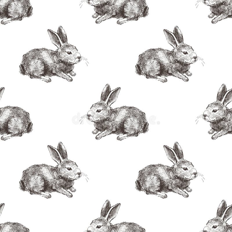 Seamless Pattern with Hand Drawn Rabbit Stock Vector - Illustration of ...