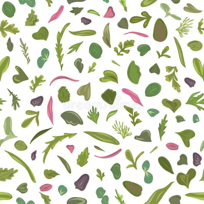 Seamless Pattern. Hand Drawn Rainbow Chard Micro Greens. Microgreen ...