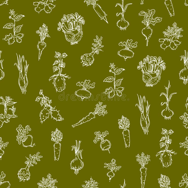 Seamless Pattern - Root Vegetables Stock Illustration - Illustration of ...