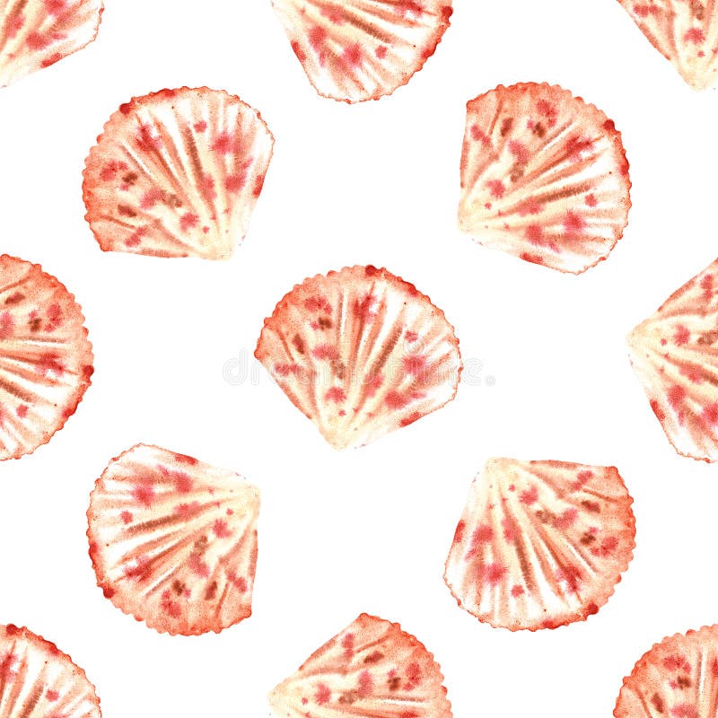 Seamless Pattern with Hand-drawn Scallop Shells in Watercolor Pink Sand ...