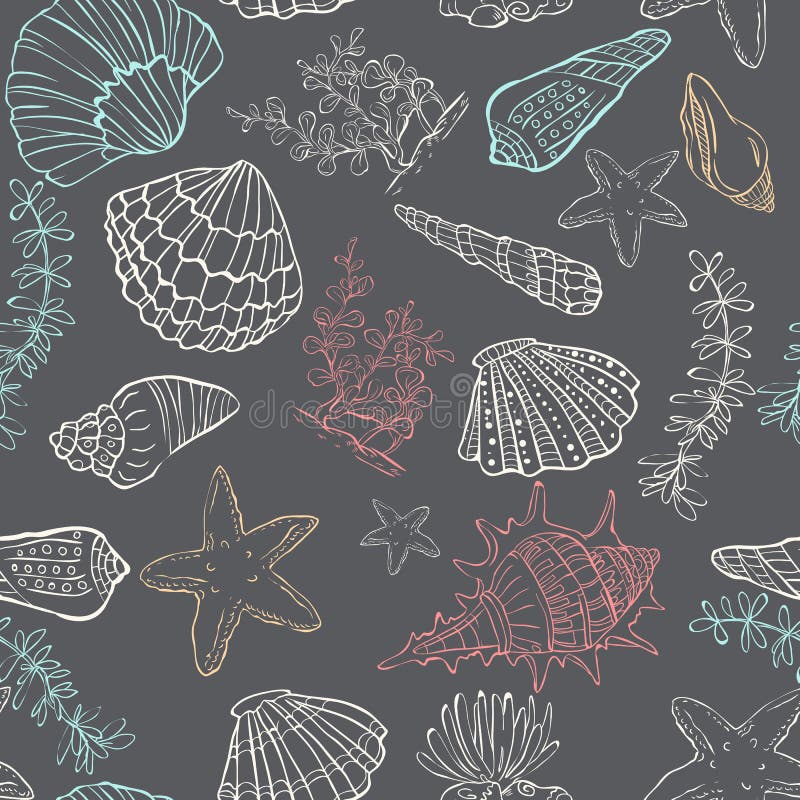 Seamless Pattern with Hand Drawn Shells on White Background Stock ...