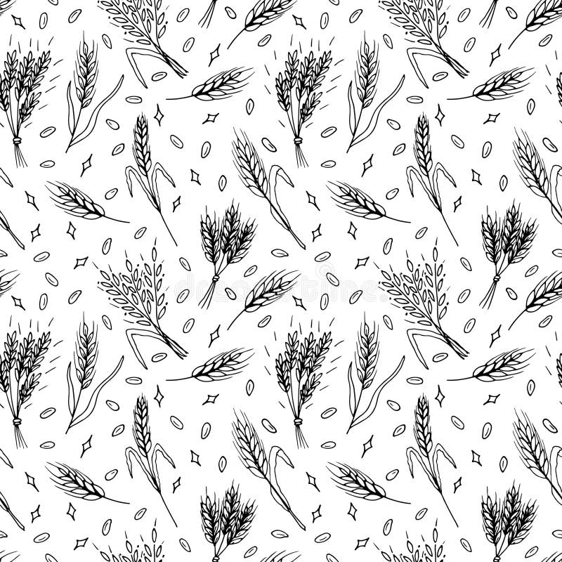 Seamless Pattern with Hand Drawn Spikelets of Wheat in Sketch. Grain ...