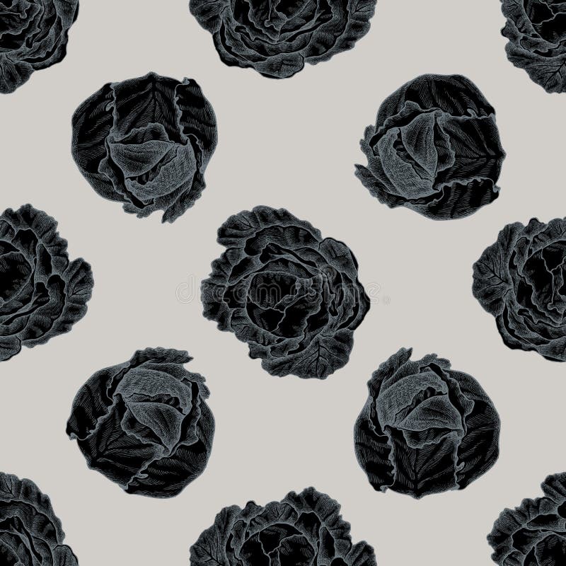Seamless Pattern with Hand Drawn Stylized Cabbage Stock Vector ...