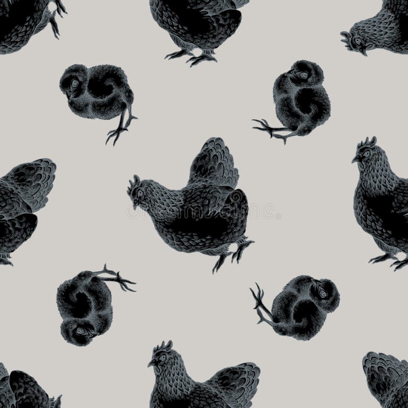Seamless Pattern with Hand Drawn Stylized Chicken Stock Vector ...