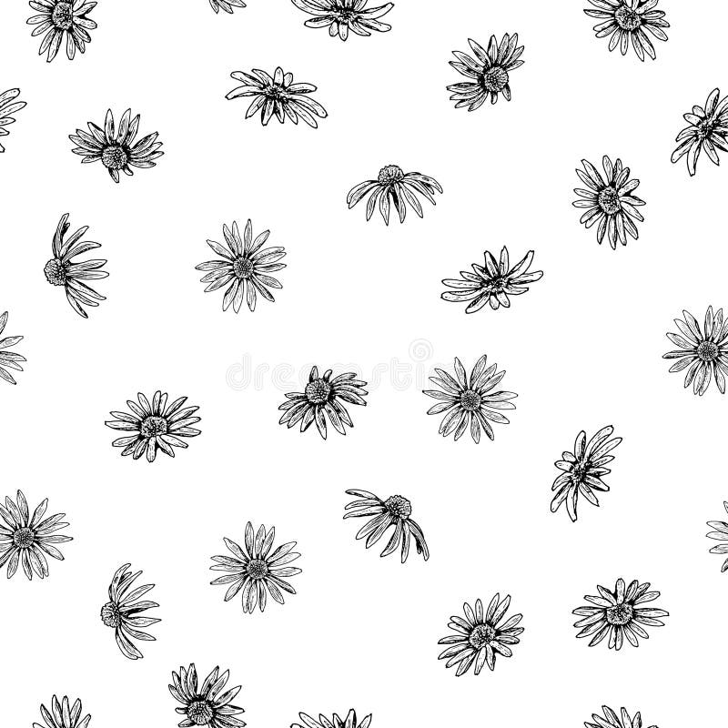 Seamless Pattern with Hand Drawn Wildflowers in Ink. Featuring Daisy ...
