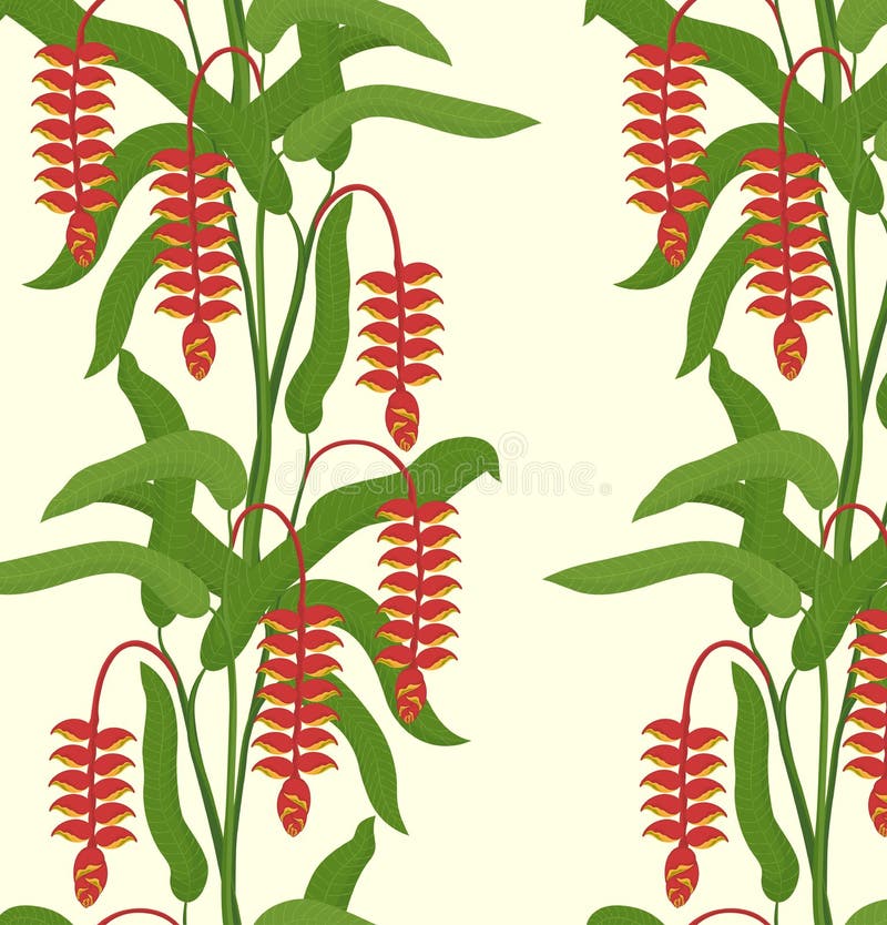 Seamless Pattern with Heliconia. Stock Vector - Illustration of natural ...