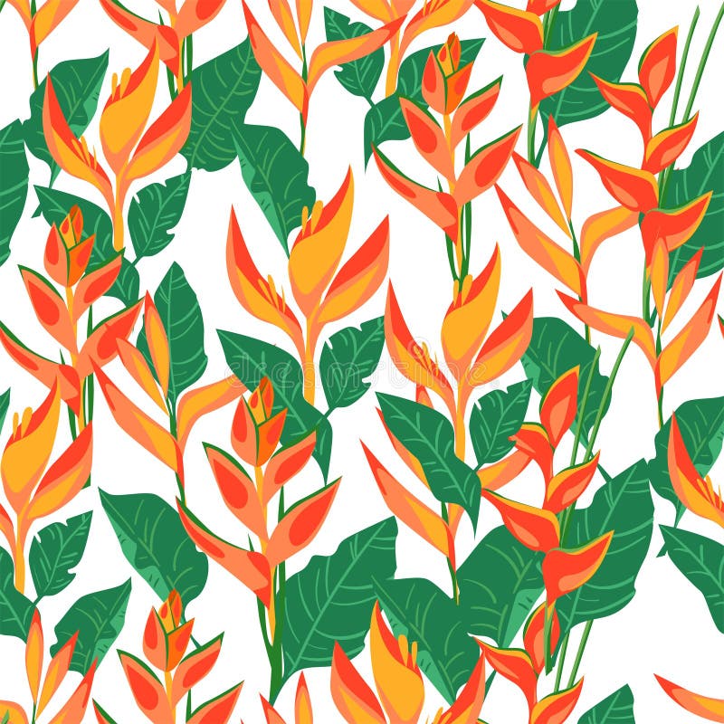 Seamless Pattern Heliconia. Vector Illustration. Print Design for ...