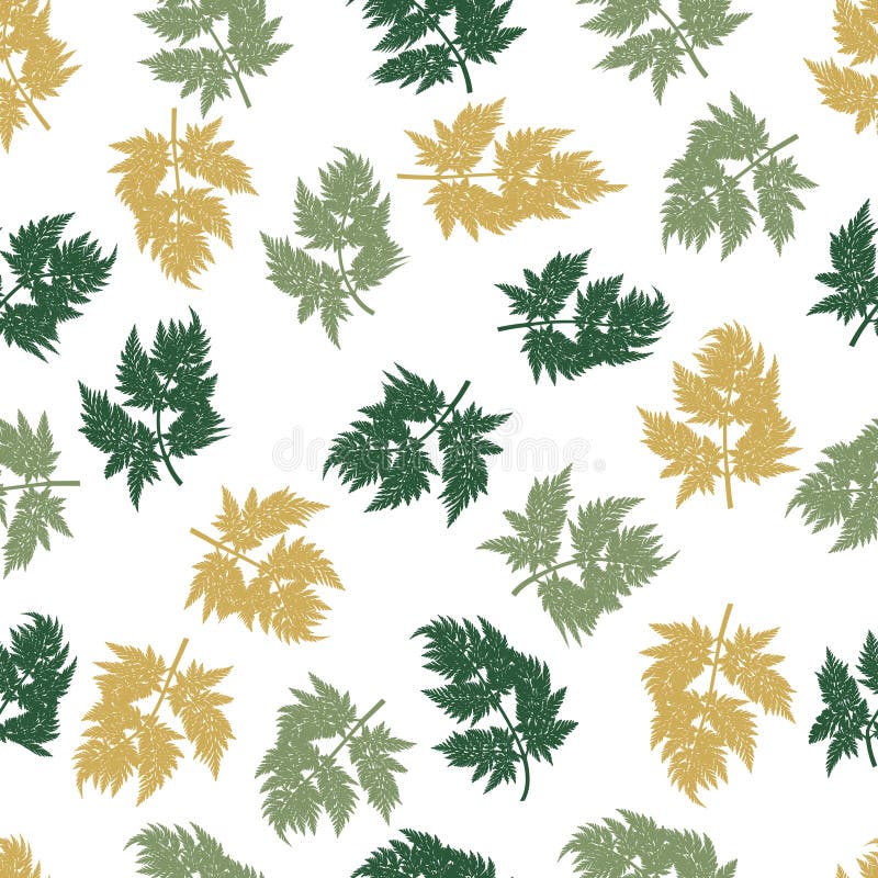 Seamless Pattern of Hemlock Leaf, Beautiful Wild Plant. Vector ...