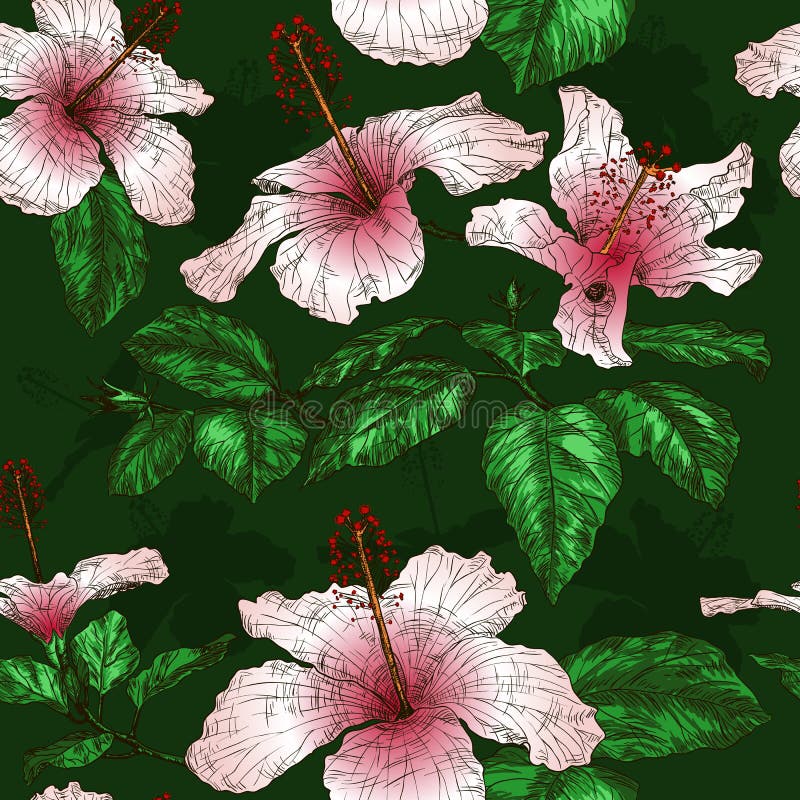 Seamless Pattern with Hibiscus Flowers Stock Vector - Illustration of ...