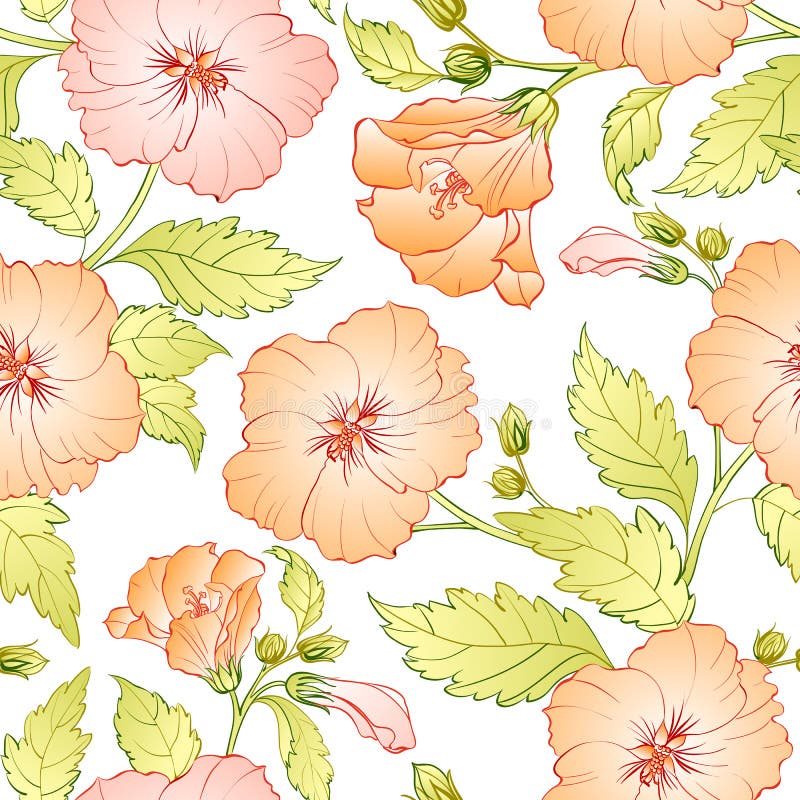 Seamless Pattern with Hibiscus. Stock Vector - Illustration of nature ...