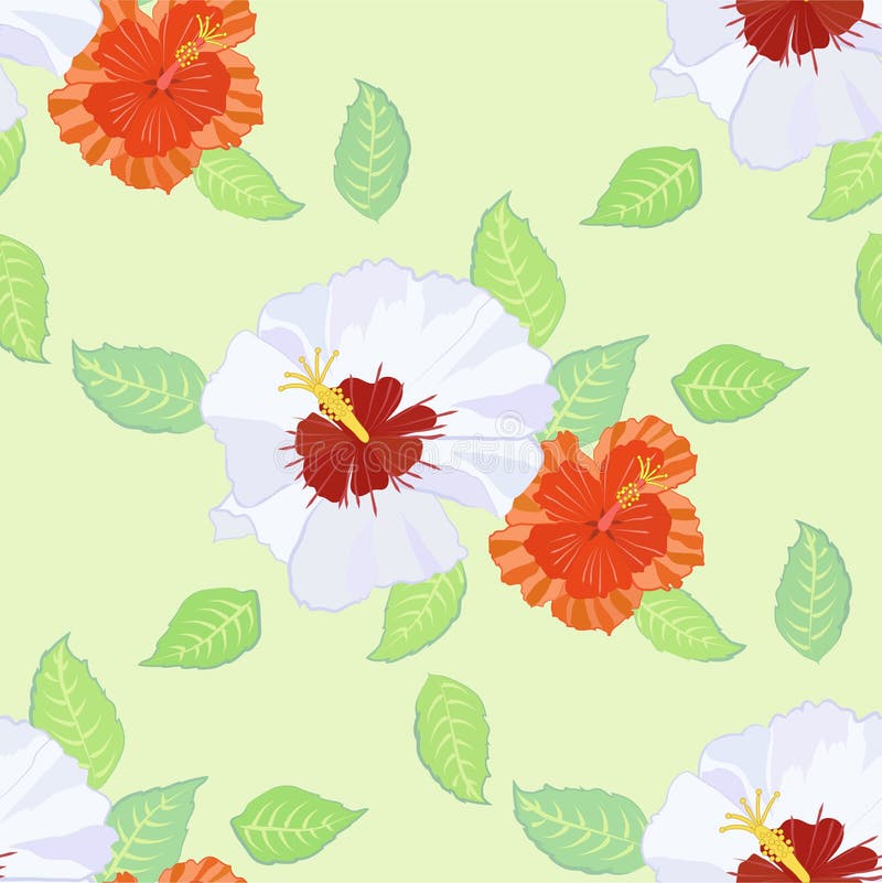Seamless Pattern with Hibiscus Stock Vector - Illustration of romance ...