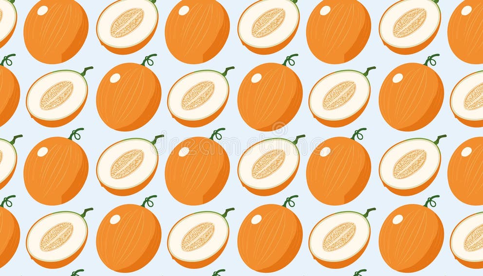 Seamless Pattern with Honeydew Melon. Vector Illustration Stock ...