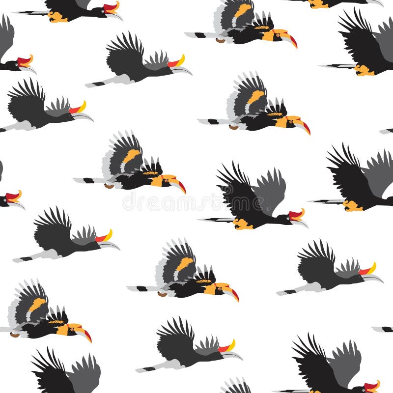 Ground Hornbill Bird Art Stock Illustrations – 3 Ground Hornbill Bird ...