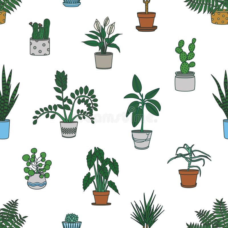 Seamless Pattern with Houseplants Growing in Planters on White ...