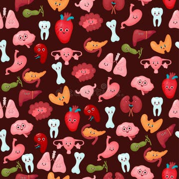 Internal Human Body Organs Pattern Stock Illustrations – 268 Internal ...