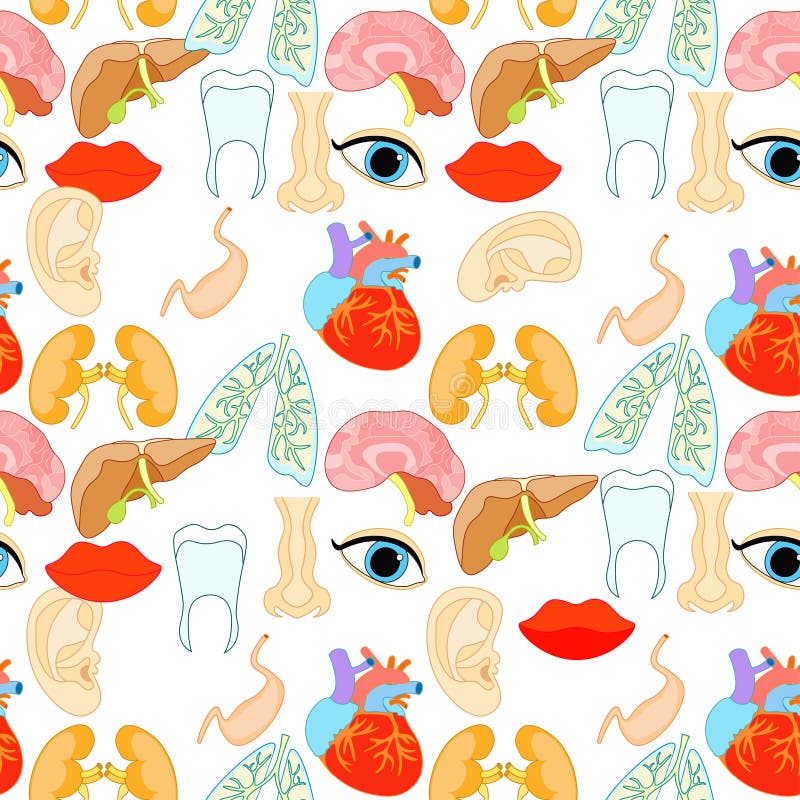 Seamless Pattern of Human Organs in the Body and Face. Vector Il Stock ...