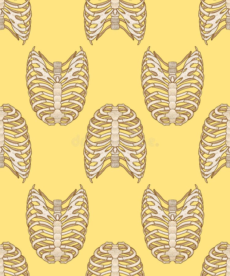 Seamless Pattern with Human Rib Cage. Line Art Style. Boho Vector ...