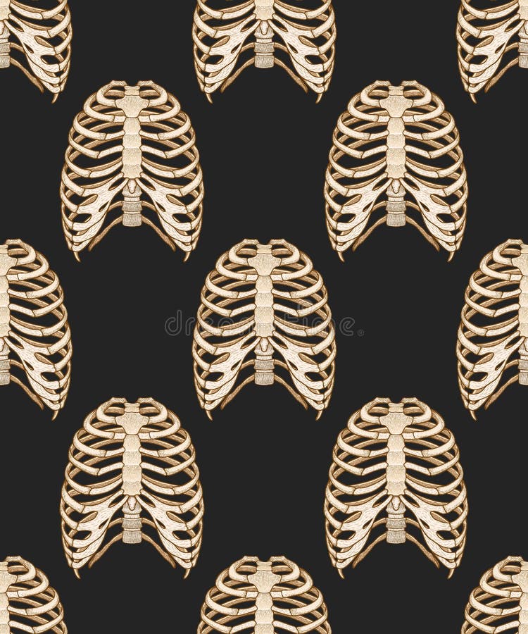 Seamless Pattern with Human Rib Cage. Line Art Style. Boho Vector ...