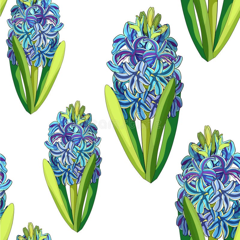Seamless Pattern is Hyacinth Spring Flower. Vector Illustration Stock ...