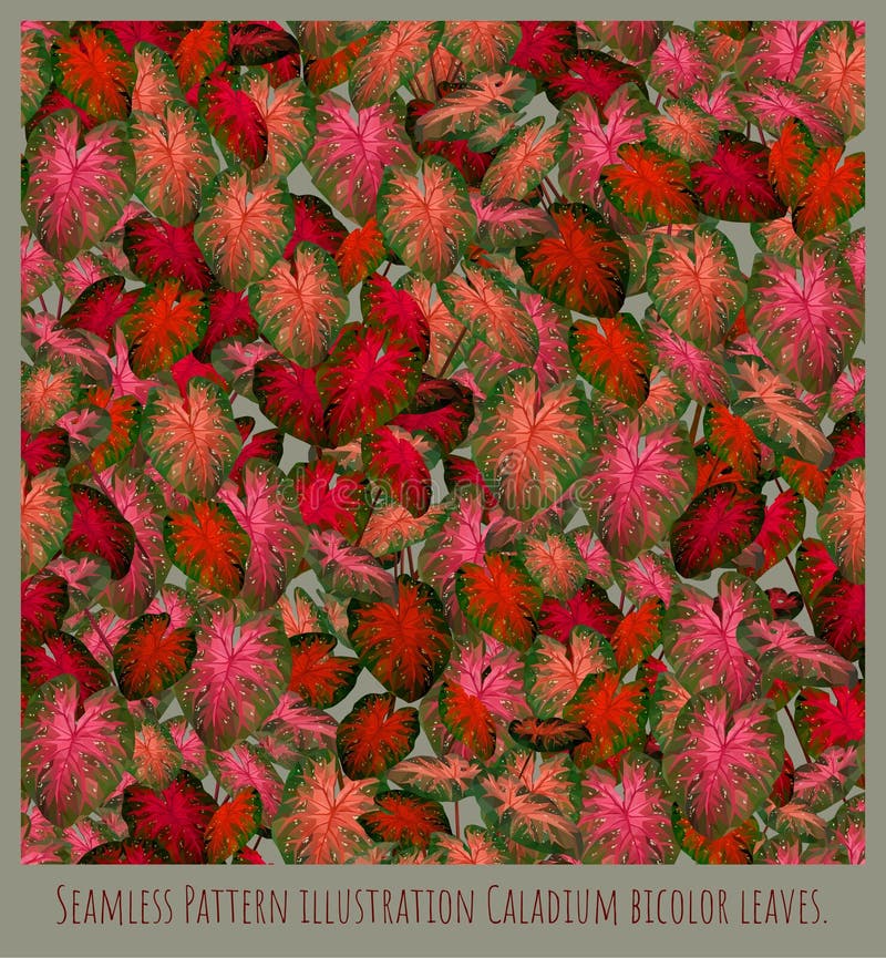 Seamless Pattern Illustration of Bicolor Leaves Stock Vector ...