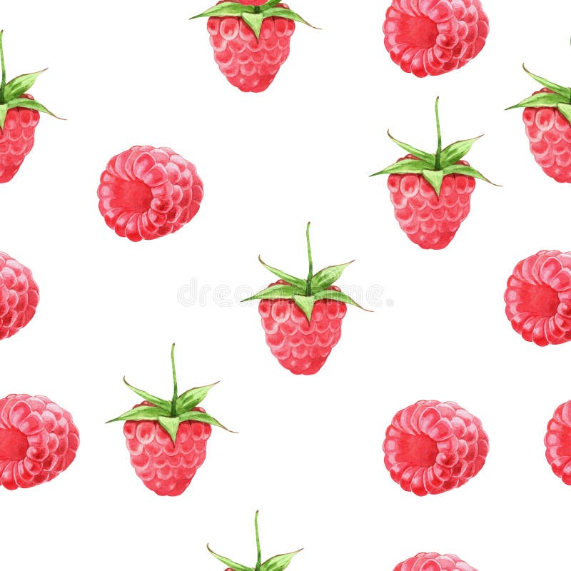 Seamless Pattern Illustration with Pink Raspberry Isolated on White ...