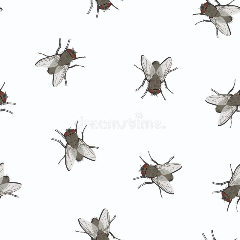Buzzing Flies Stock Illustrations – 66 Buzzing Flies Stock ...