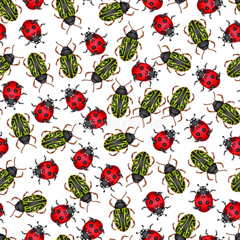 Seamless Pattern Insect Beetles Stock Vector - Illustration of pest ...