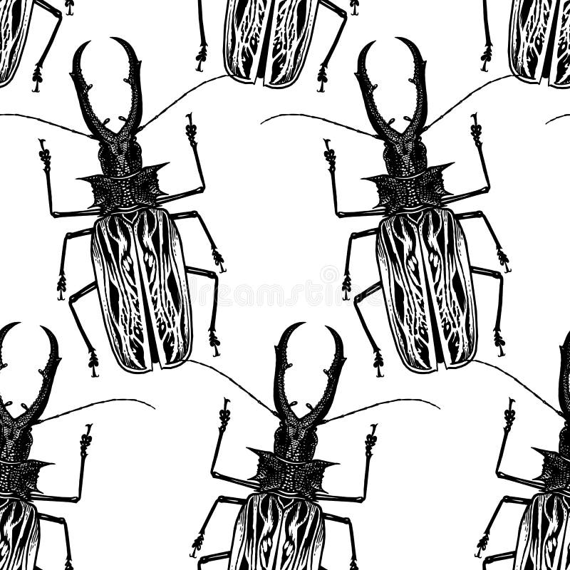 Midges Stock Illustrations – 166 Midges Stock Illustrations, Vectors ...