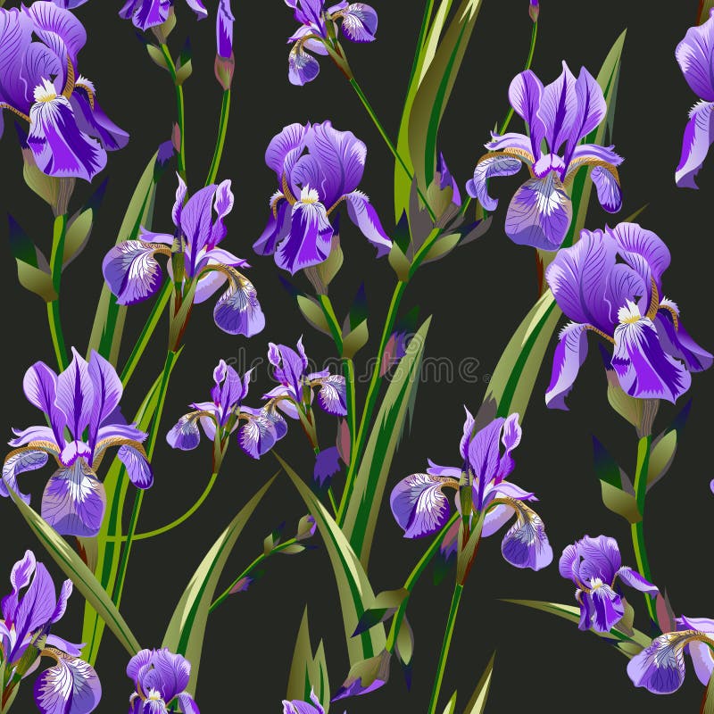 Seamless Pattern with Iris Flowers Stock Vector - Illustration of ...