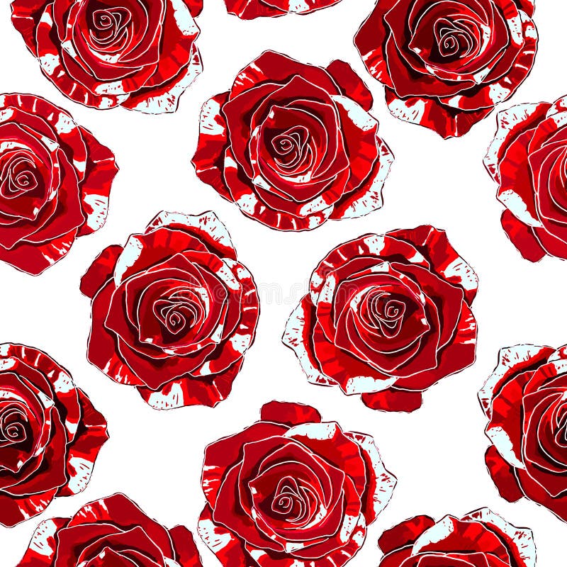 Seamless Pattern of Isolated Red Roses on a White Background. Stock ...
