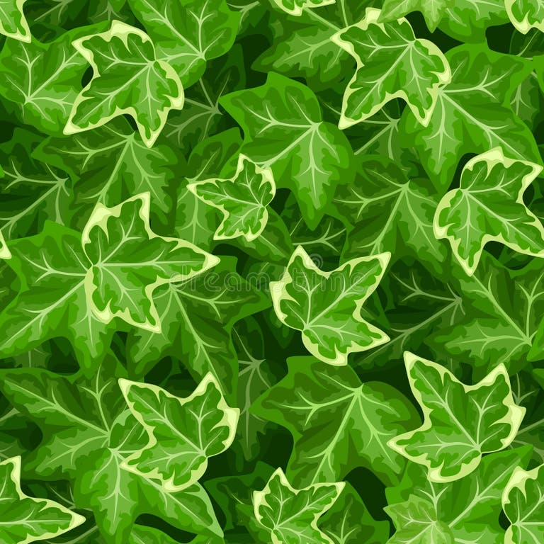 Seamless Pattern with Ivy Leaves. Vector Illustration. Stock Vector ...