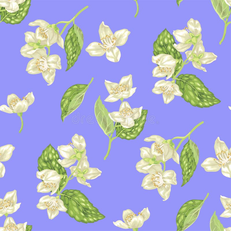 Seamless Pattern with Jasmine Flowers in Realistic Graphic Vector ...
