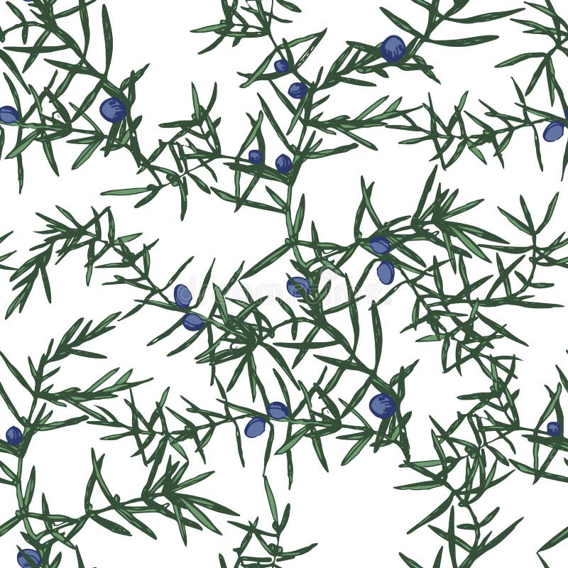 Juniper Tree Pattern Stock Illustrations – 679 Juniper Tree Pattern ...