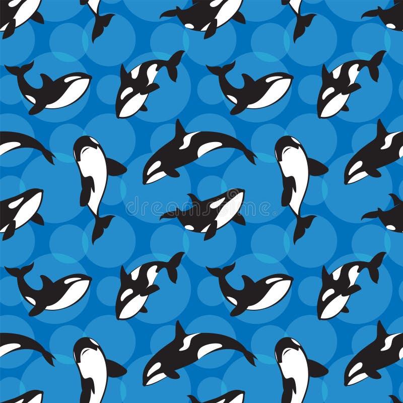 Pattern of Killer Whale. Orcinus Orca. Aquatic Animals of Arctic and ...