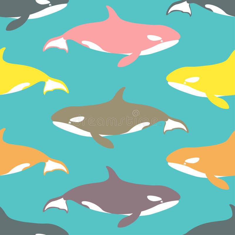Seamless Pattern with Killer Whales. Stock Vector - Illustration of ...
