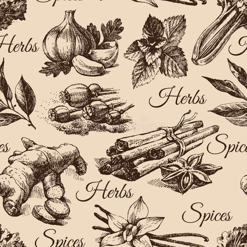Seamless Pattern of Kitchen Herbs and Spices. Hand Drawn Sketch ...